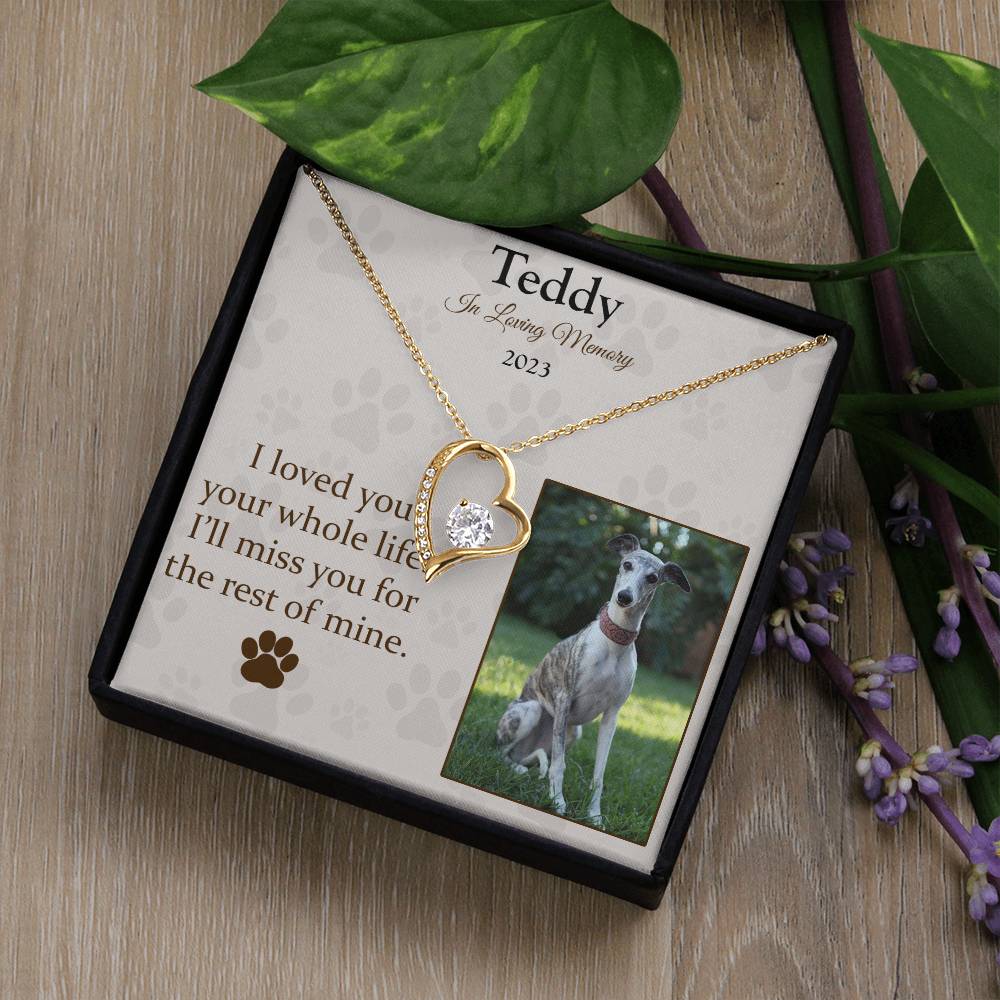 Heartwarming Tribute- I Loved You Your Whole Life, I'll Miss You For T ...